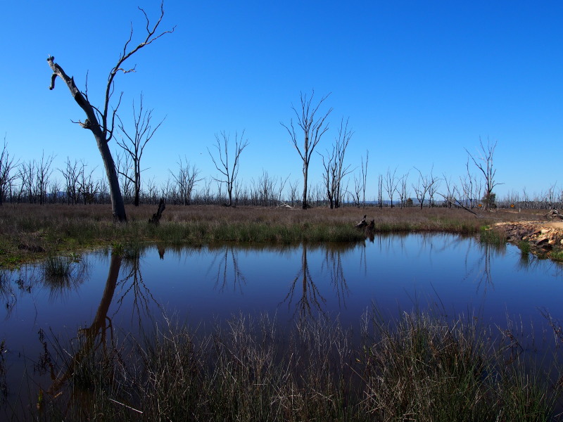 Winton Wetlands – Spinksy Travel World